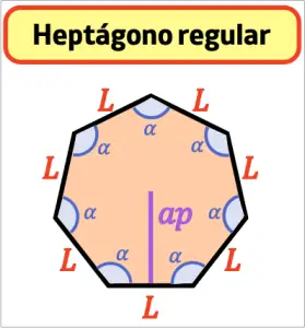 Heptágono regular