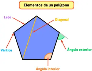 Elementos de un polígono