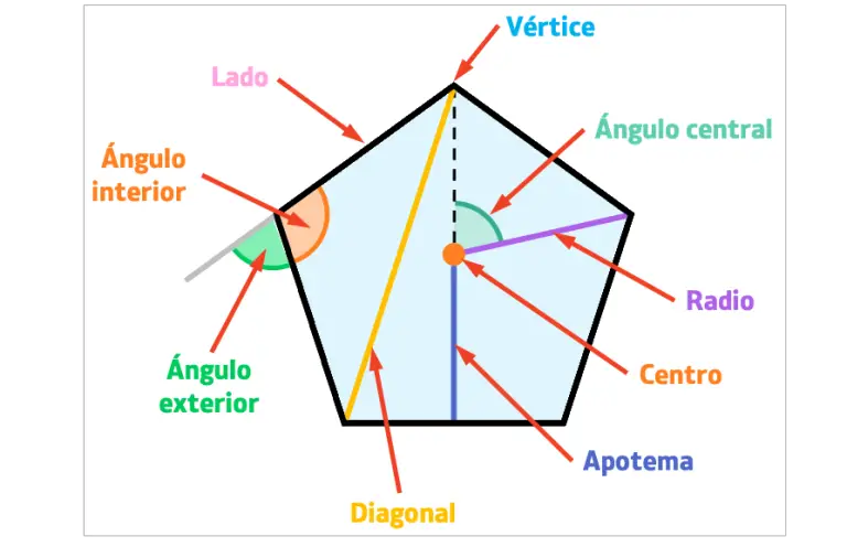 Polígono regular: características, tipos, área y perímetro
