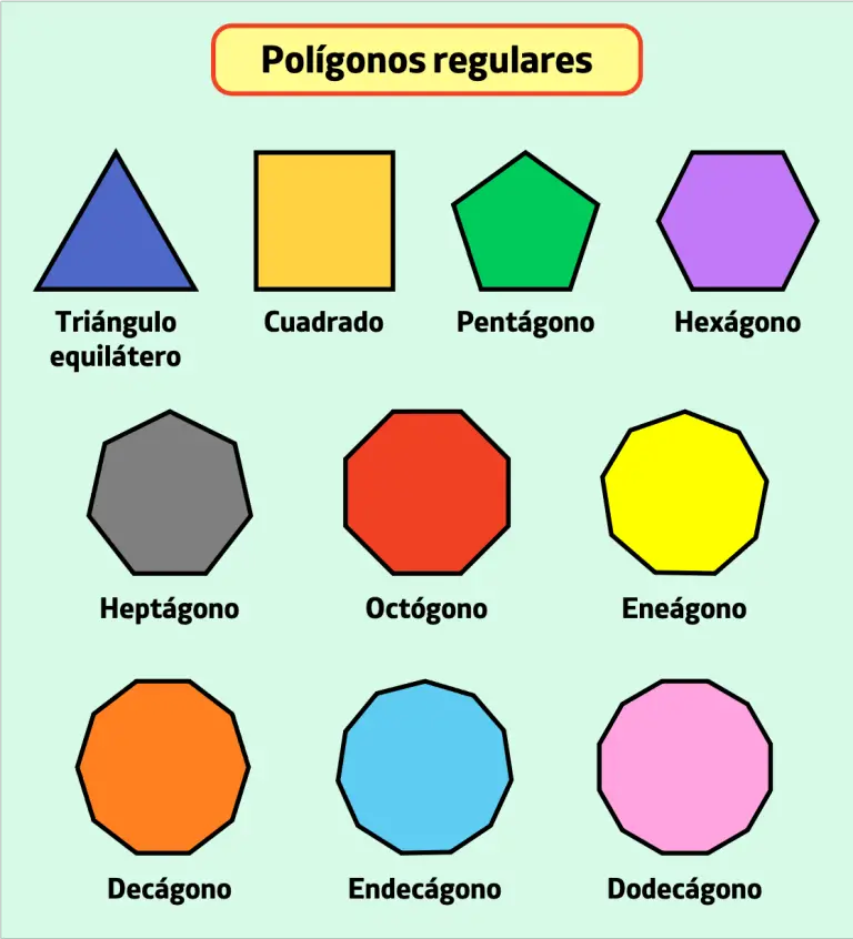 Polígono regular: características, tipos, área y perímetro